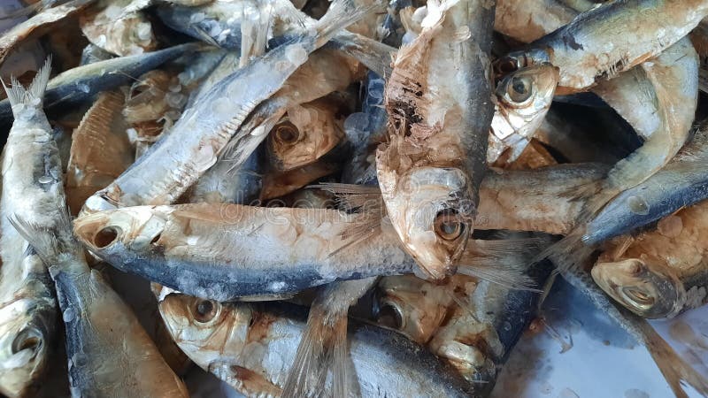 Peixe Salgado Num Mercado Tradicional Imagem de Stock - Imagem de macro ...
