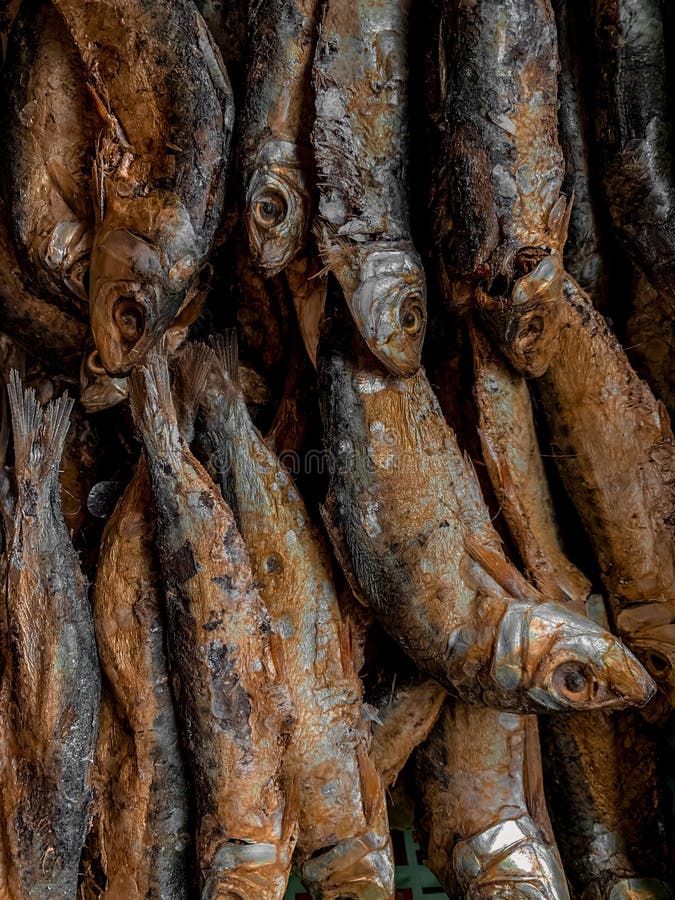 Peixe salgado seco foto de stock. Imagem de cozinhado - 253588174