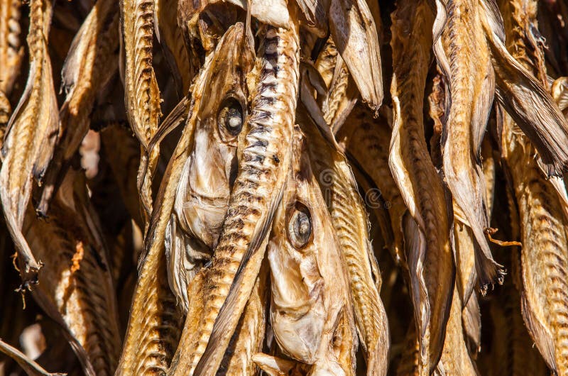 Peixe seco do bacalhau imagem de stock. Imagem de coma - 33005685