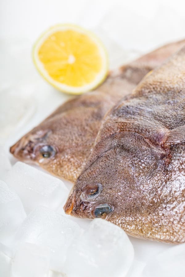 O Peixe Da Solha Escala O Close Up Da Textura Imagem de Stock - Imagem ...