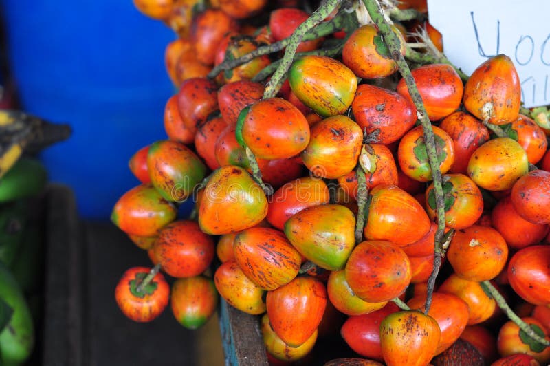 Pejibaye en el Mercado foto de archivo. Imagen de crecido - 16933332