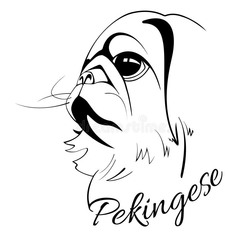 Pekingese dog head stock illustration. Illustration of graphic - 74424375