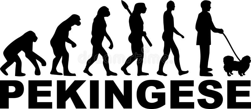 Pekingese evolution stock vector. Illustration of vector - 149555963