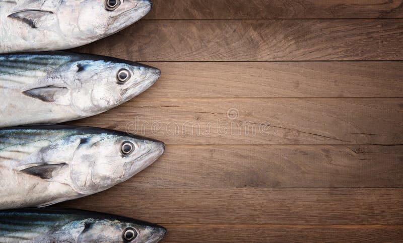 Pelamida on table stock photo. Image of seafood, delicious - 90814978