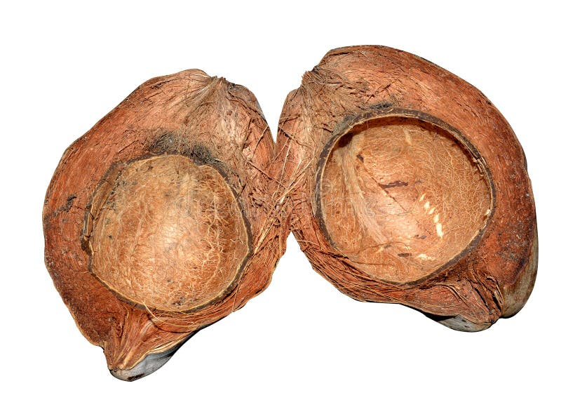 Textura Da Pele Do Coco Para O Fundo, Cor Cinzenta Foto de Stock ...