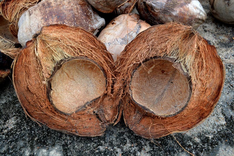 Textura Da Pele Do Coco Para O Fundo, Cor Cinzenta Foto de Stock ...