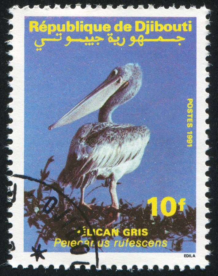 Pelecan editorial image. Image of wing, ancient, nature - 174571910