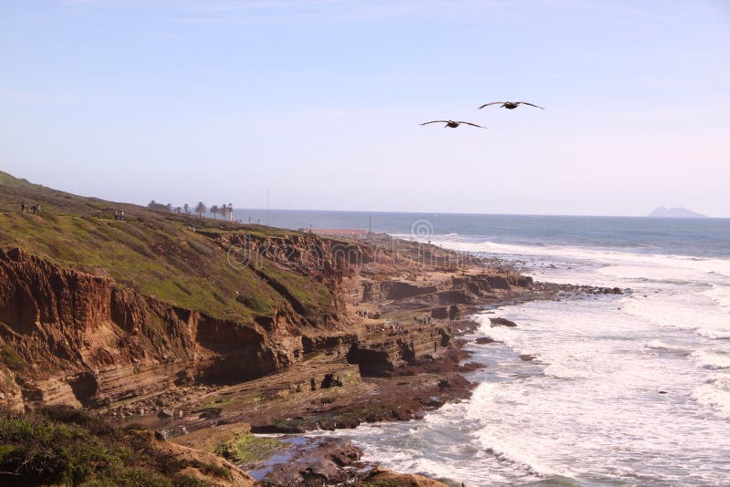 Pelican point stock photo. Image of loma, beach, ocean - 13317140