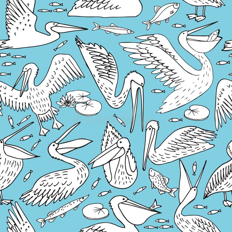 Pelican pattern seamless stock vector. Illustration of bright - 78833805