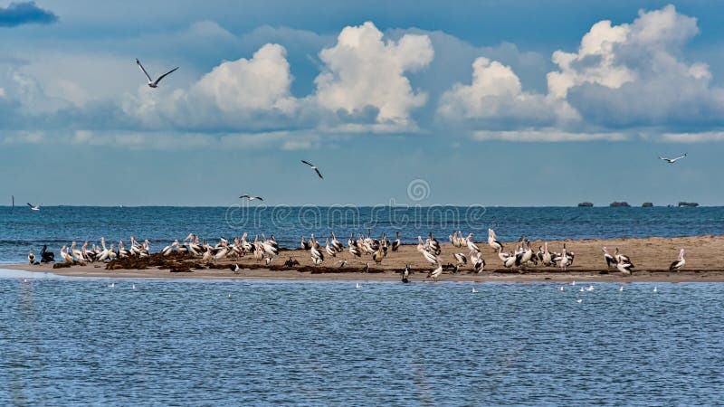Safety Bay Western Australia Stock Photos - Free & Royalty-Free Stock ...