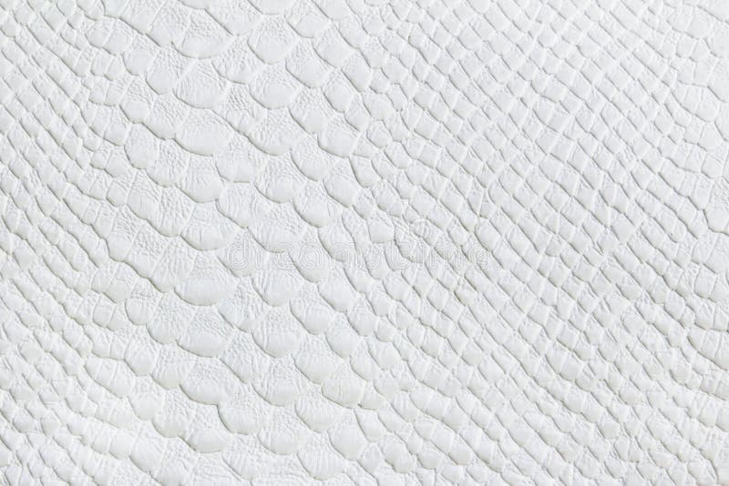 Fondo Della Scala, Modello Della Pelle Di Serpente Verde, Struttura ...