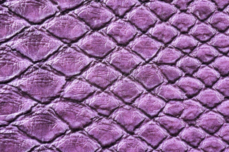 Strutture Del Fondo Della Pelle Del Coccodrillo Rettili Struttura ...