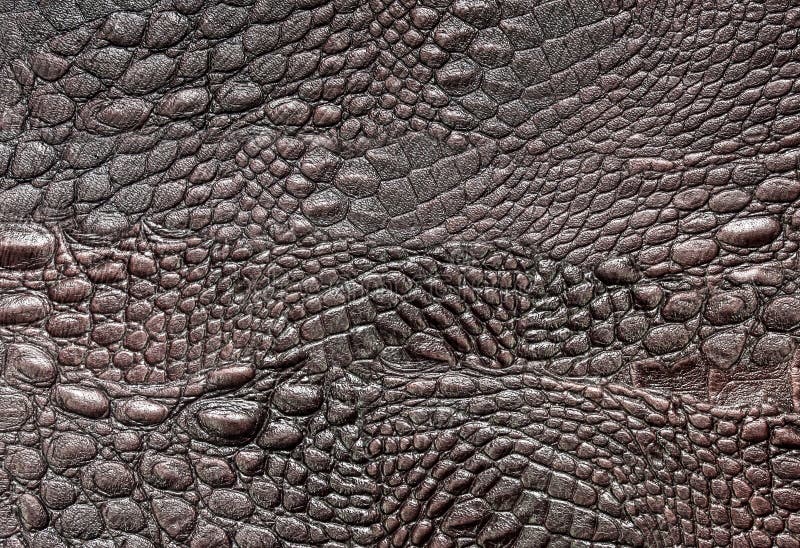 Pelle di coccodrillo fotografia stock. Immagine di animale - 37998464