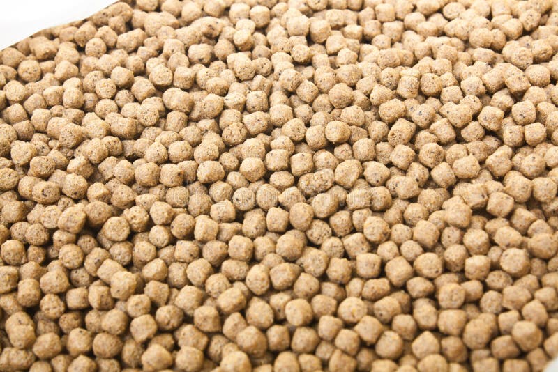 Pellet Fish Food for Aquarium Fish Shrimp Pellets Stock Image - Image ...