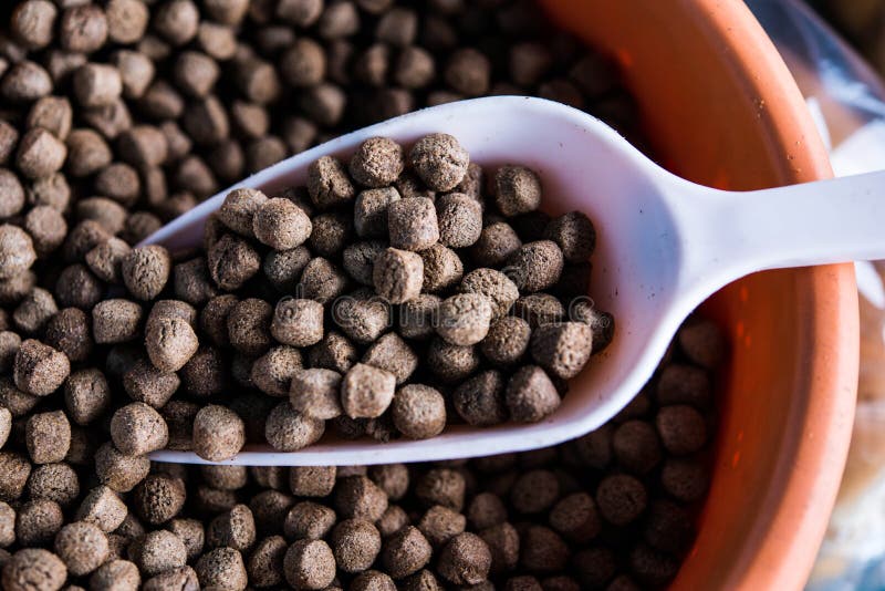 Pellet,food for fish stock photo. Image of fuel, pellets - 34990090