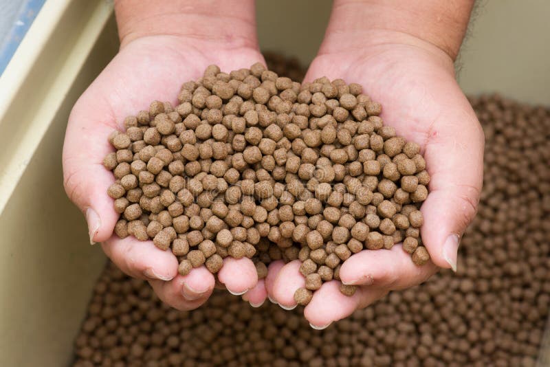 Pellet fsh feed stock photo. Image of detail, carp, horizontal - 79015442