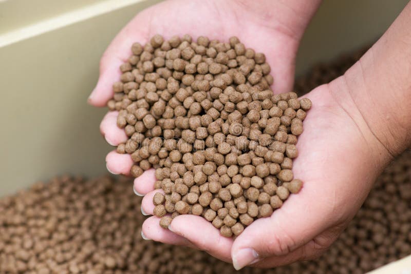 Compound Feed in Sacks Fodder Stock Image - Image of compressed ...