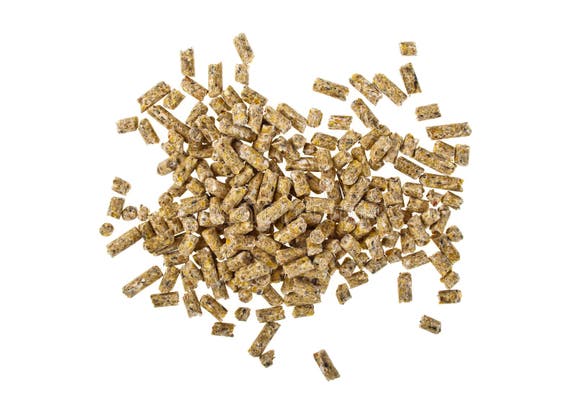 Pelleted Compound Feed Isolated on White Background, Wheatfeed Pellets ...
