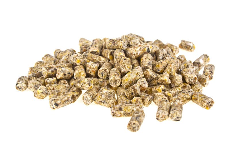 Pelleted Compound Feed Isolated on White Background, Wheatfeed Pellets ...