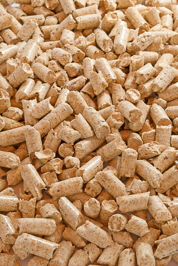 Bikinid60 - Photographer profile