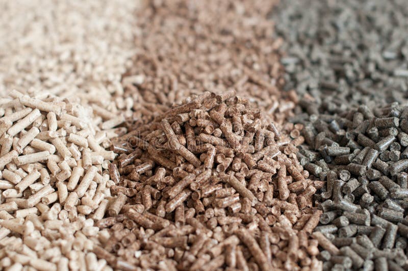 Corn as biomass stock image. Image of corn, bloom, cultivated - 16859219