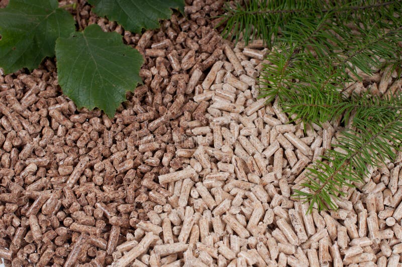 Pellets- biomass stock photo. Image of broadleaved, pine - 27087626