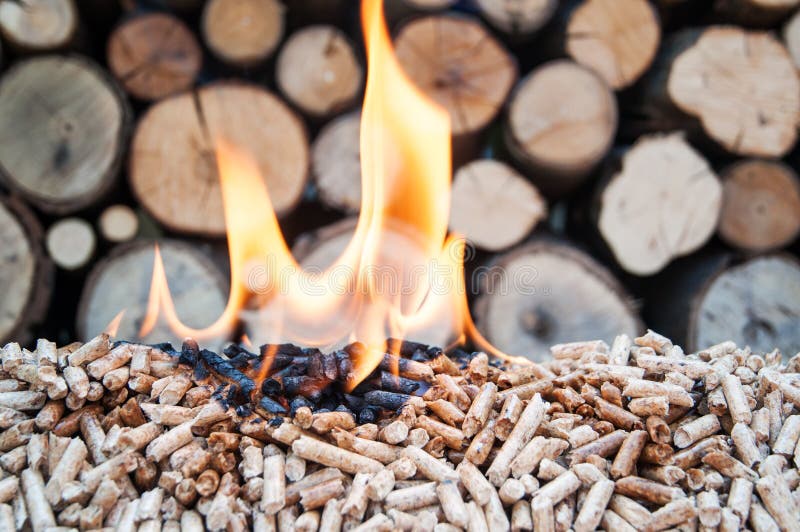 Burning Wood Chip Biomass Fuel a Renewable Alternative Source of Stock ...