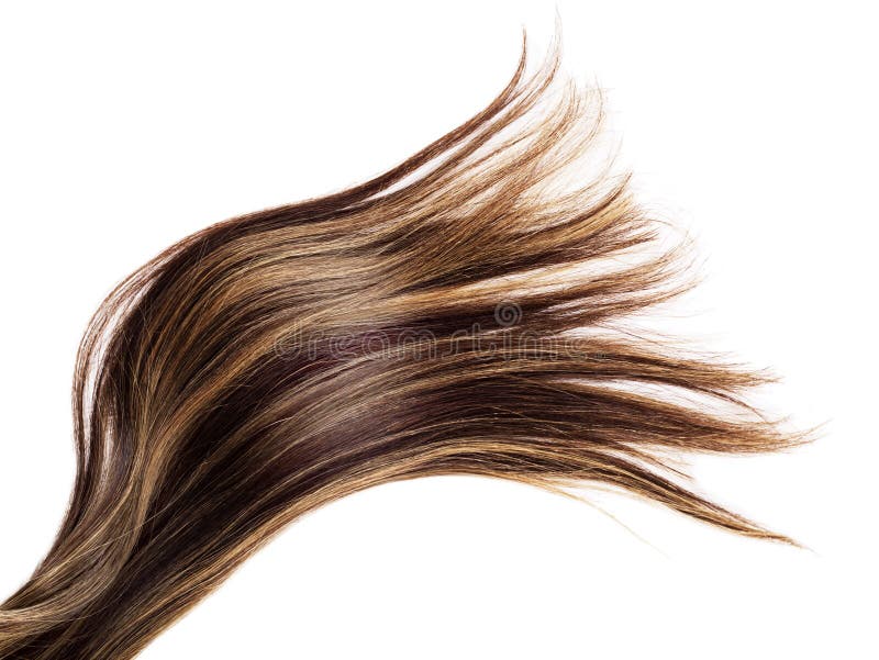 Pelo De Brown En El Fondo Blanco Imagen de archivo - Imagen de cuidado ...