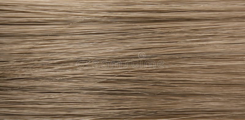 Pelo humano imagen de archivo. Imagen de pelo, haircut - 19445409