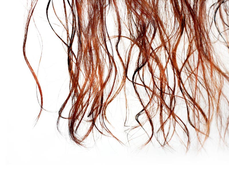 Pelo humano imagen de archivo. Imagen de rojo, mujer, belleza - 4147121