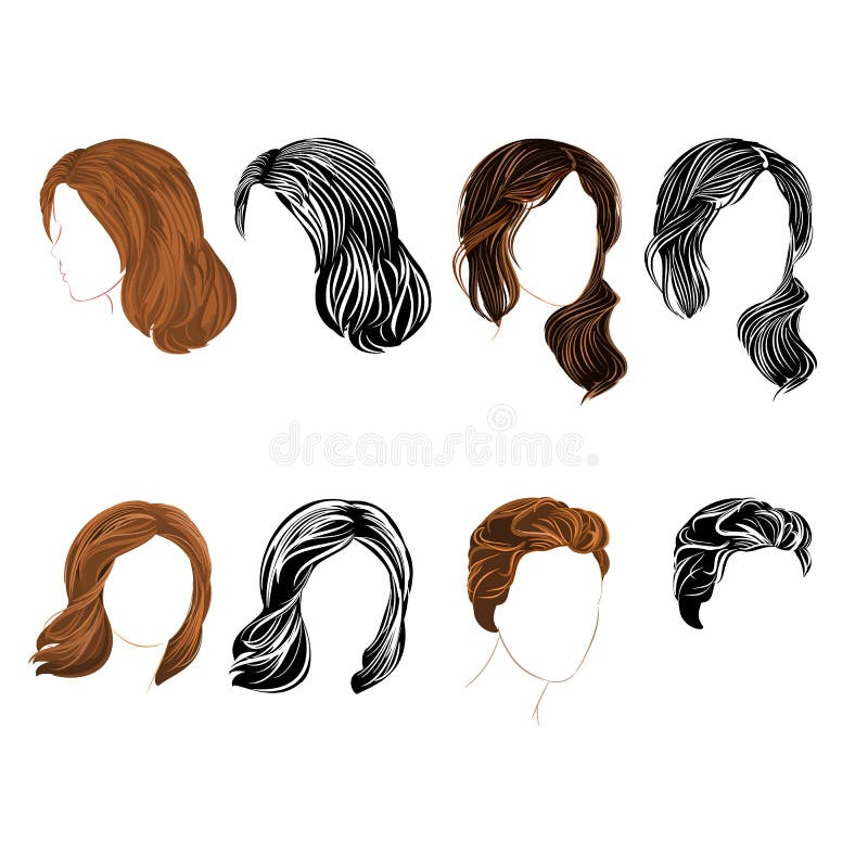 Pelo Largo Y Corto Determinado Natural Y Vector De La Silueta ...