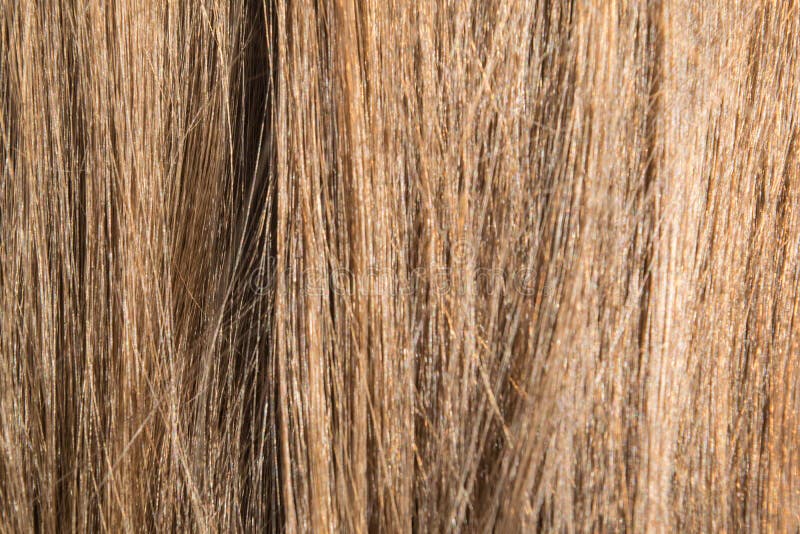 Pelo Liso Rubio Natural De La Muestra Imagen de archivo - Imagen de ...