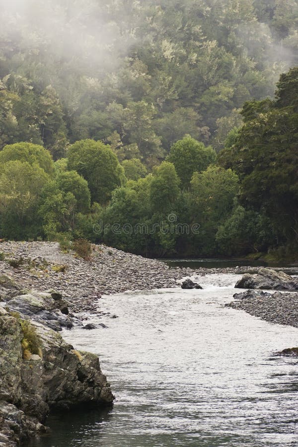Pelorus River stock photo. Image of zealand, south, island - 4613148