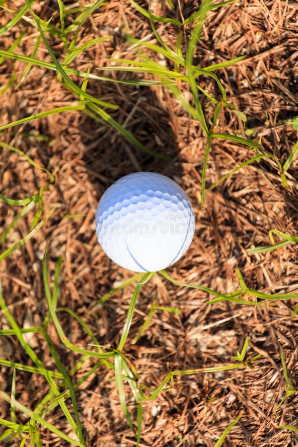 Pelota de golf imagen de archivo. Imagen de campo, club - 38950373