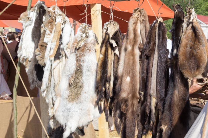 Pelts Fur Animals Hang Rope Stock Photos - Free & Royalty-Free Stock ...