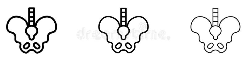 Pelvic area icon vector stock vector. Illustration of concept - 348390957