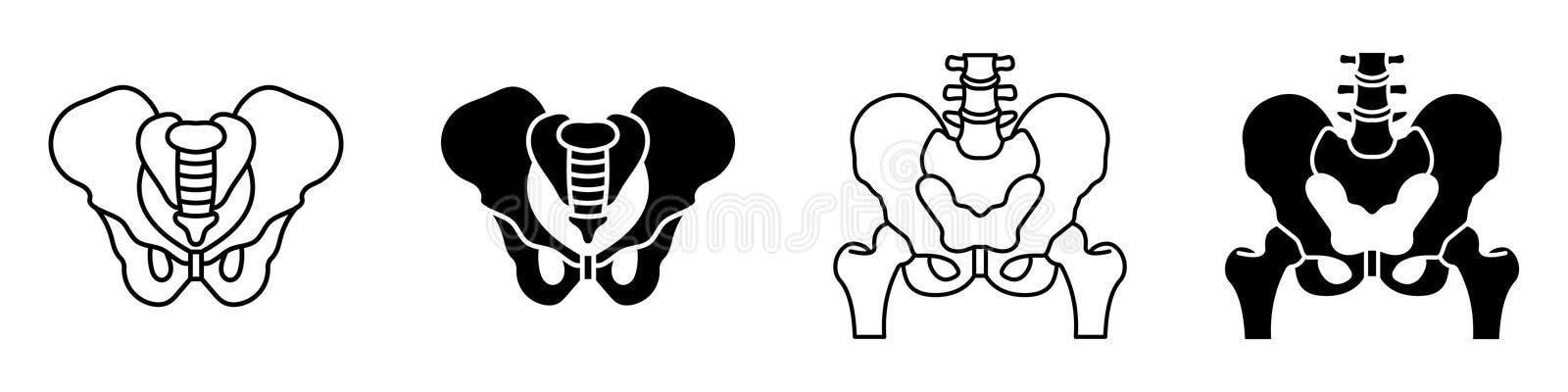 Pelvis Shape Stock Illustrations – 321 Pelvis Shape Stock Illustrations ...