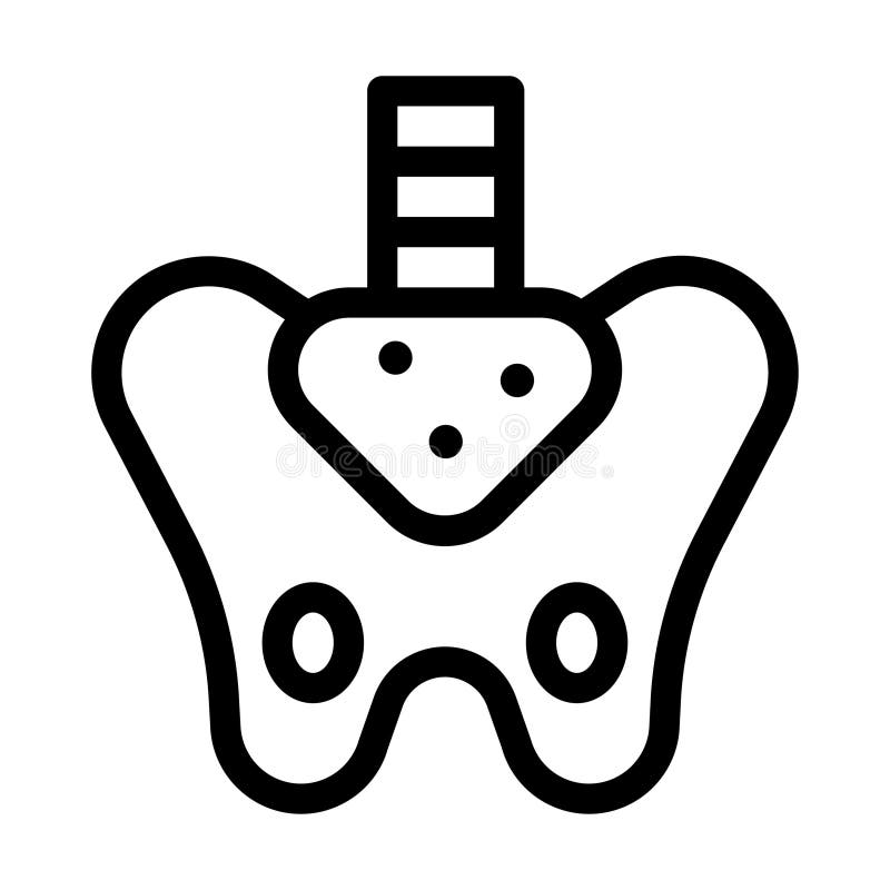 Female Pelvis Medical Illustration Stock Illustrations – 499 Female ...