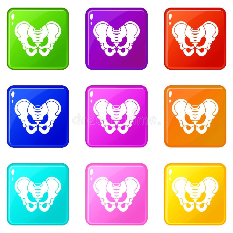 Pelvis Logo Stock Illustrations – 964 Pelvis Logo Stock Illustrations ...