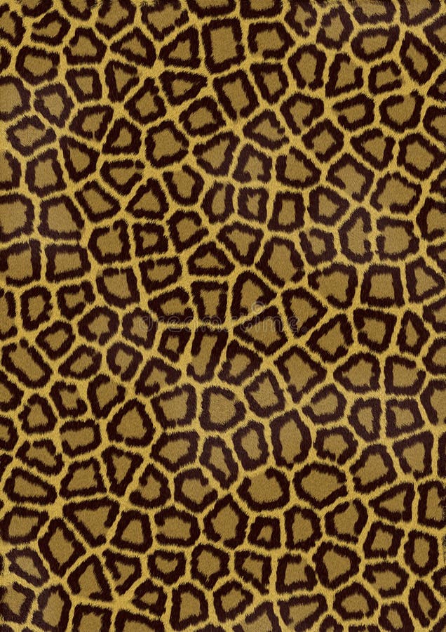 Pelz der wilden Katze stock abbildung. Illustration von afrikanisch ...