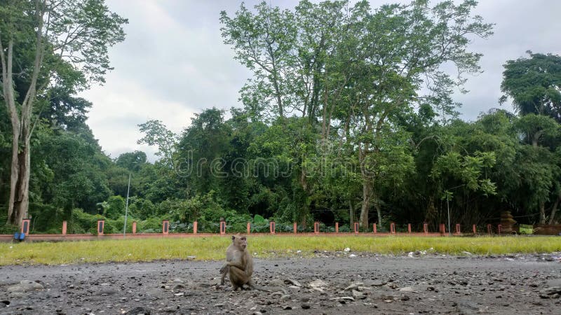 Pemalang, Central Java, Indonesia. March 5, 2022 Stock Photo - Image of ...