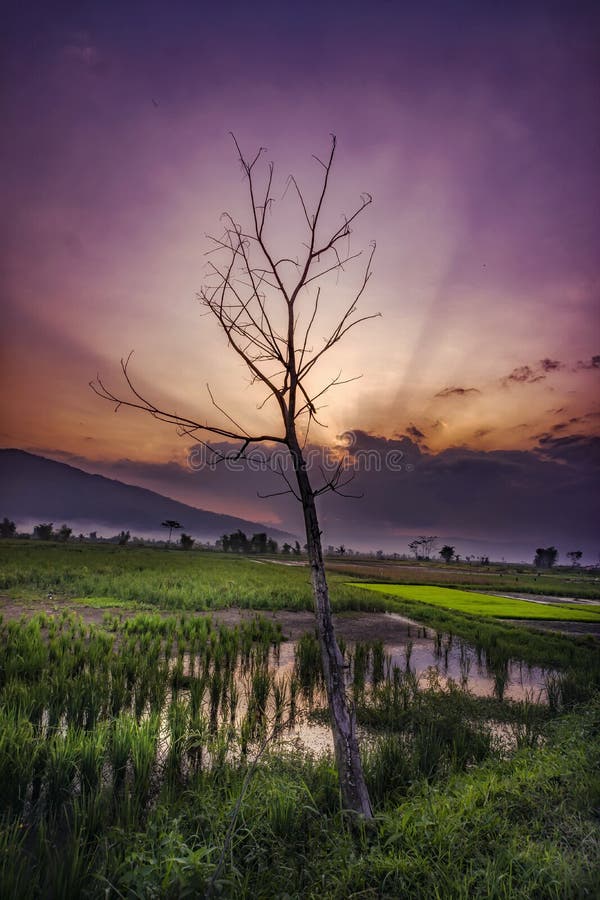 Pemandangan Super Indah Sunset Di Sore Hari Foto de archivo - Imagen de ...
