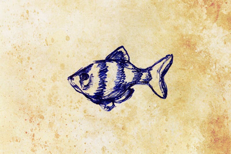 The Pen Drawing Aquarium Fish on Old Paper. Stock Illustration ...