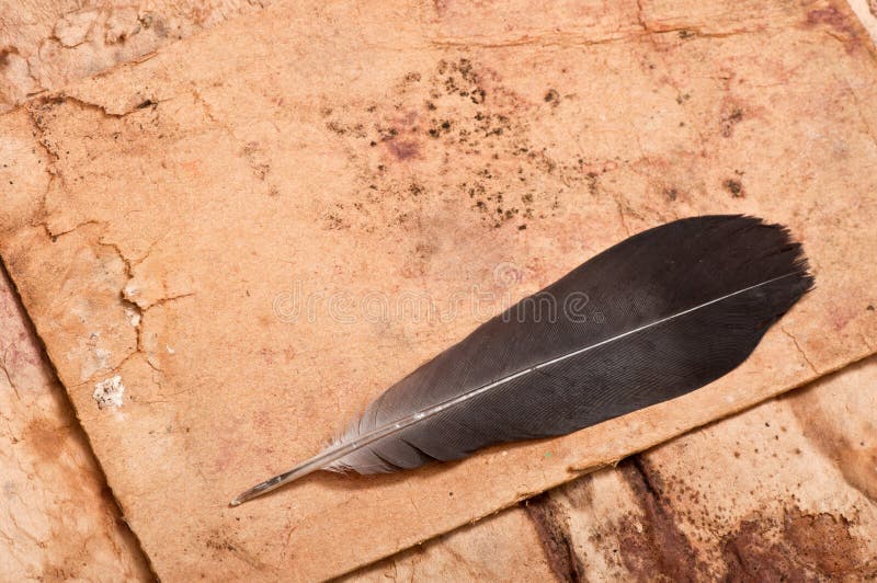 Pen and old paper stock photo. Image of aged, document - 32424734