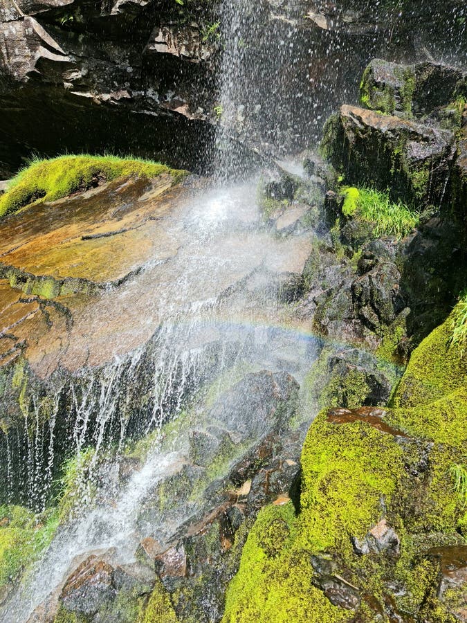 Pen pych waterfall stock photo. Image of tree, woodland - 244824626