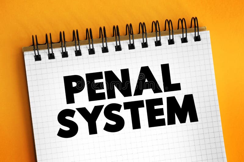 Penal System - Network of Agencies that Administer a Jurisdiction`s ...