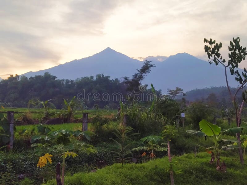 Penanggungan Mountain, Purwosari East Java Stock Image - Image of ...