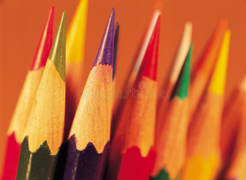 Pencil stock photo. Image of ruff, neck, color, collar - 81561484