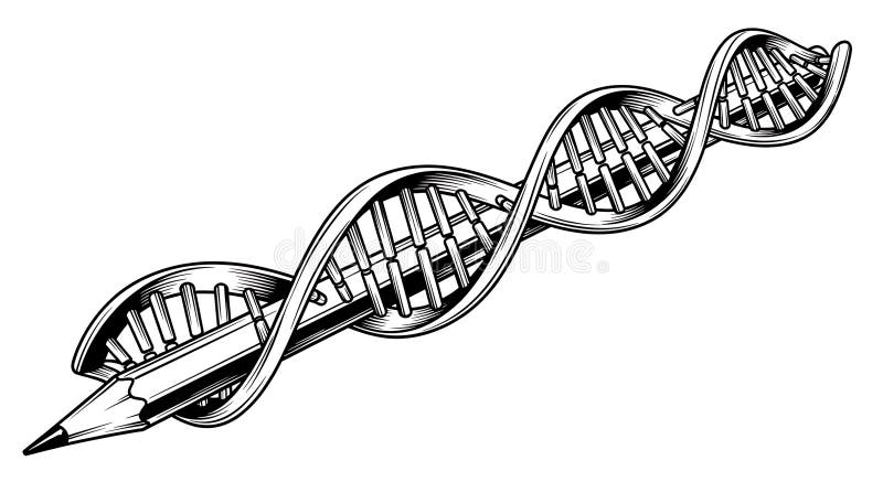 A Pencil is Creatively Integrated into a DNA Double Helix Structure ...