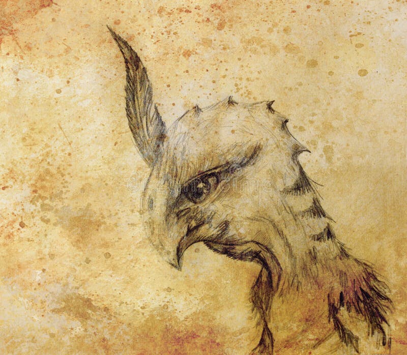 Cockatrice Spiderwick